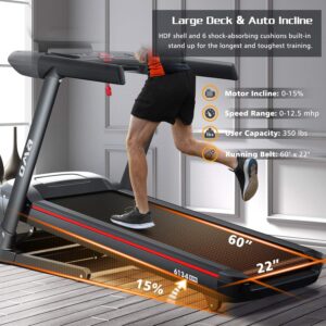 Best Treadmill 350 lb Capacity – Top Picks for Heavy Users in 2025